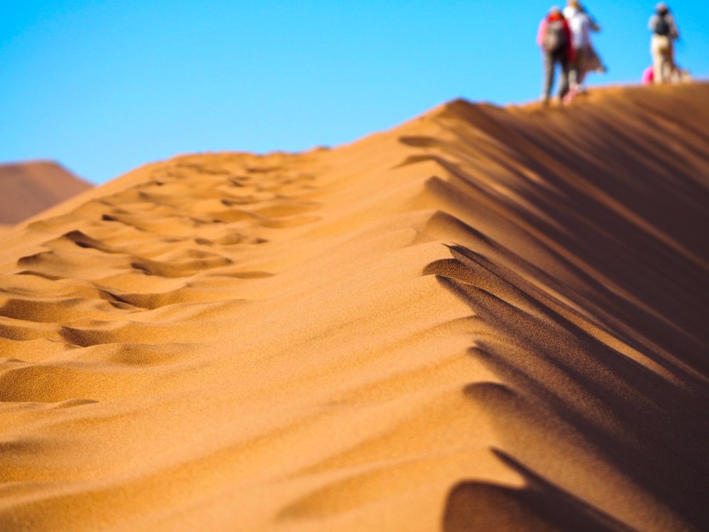 4-Länder-Safari-Tour: Südafrika, Namibia, Botswana und Simbabwe | afrika TOURS